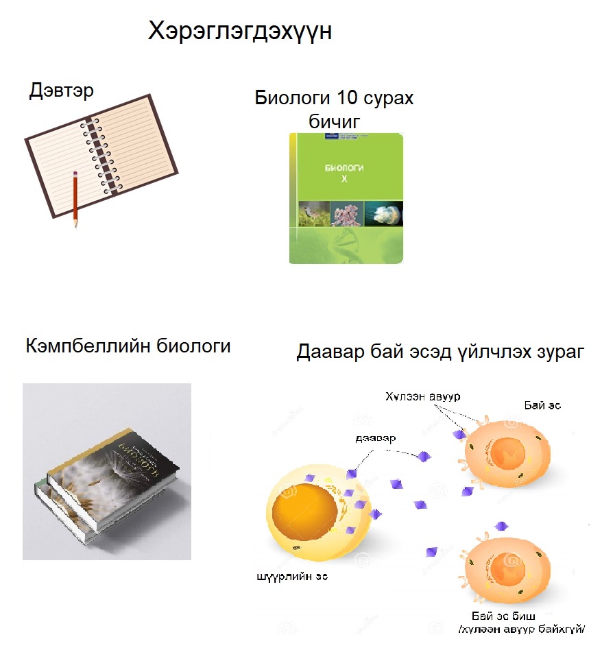 Мэдлээ Цахим контент